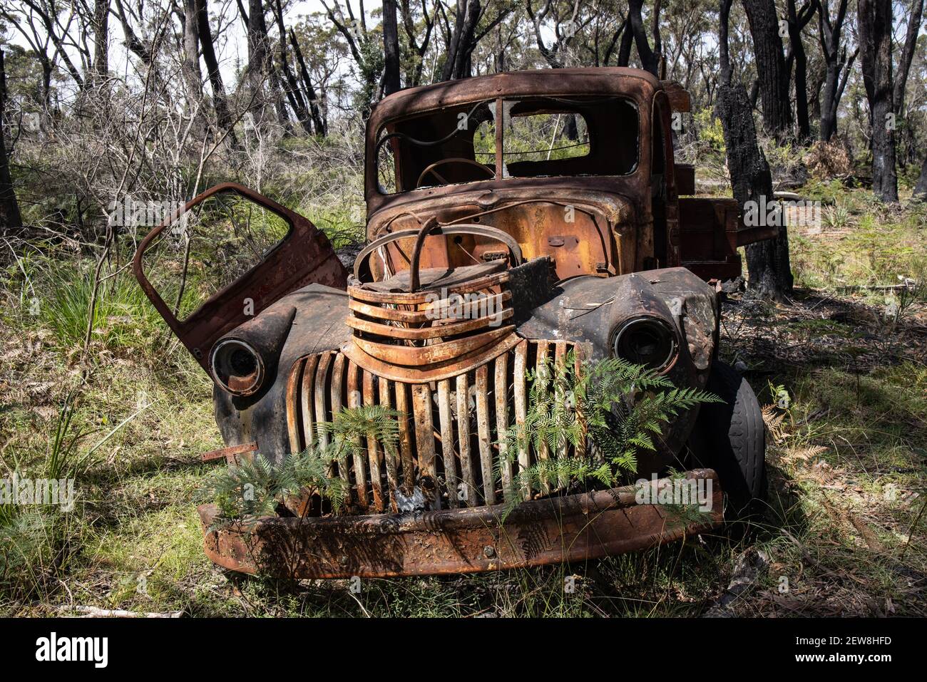 Abandoned Chevrolet motor vehicle in Australian bushland Stock Photo ...