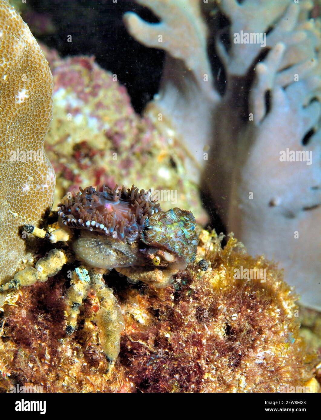 Sunabe Seawall High Resolution Stock Photography and Images - Alamy