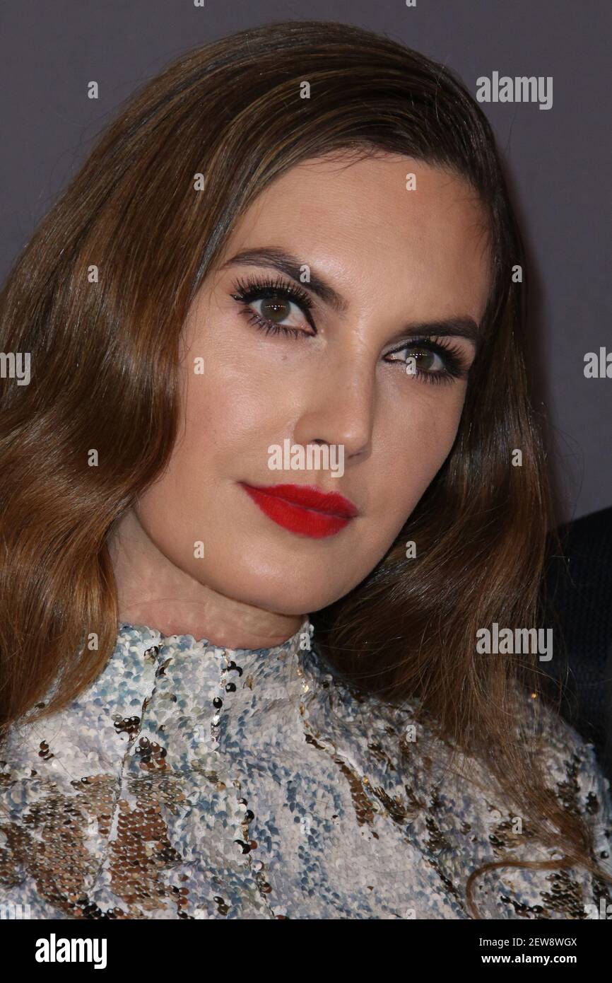 Elizabeth Chambers at the 2017 LACMA Art + Film Gala Honoring Mark ...