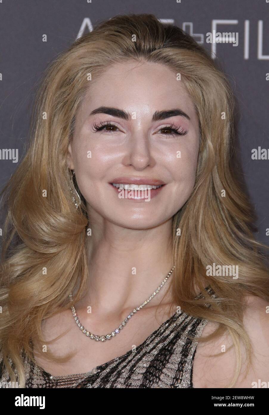 Elizabeth TenHouten at the 2017 LACMA Art + Film Gala Honoring Mark ...