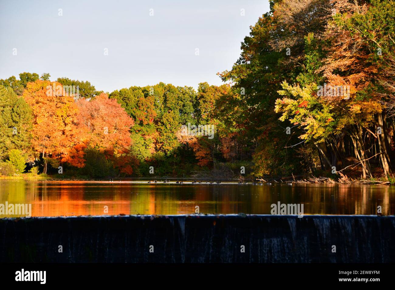 A brilliant foliage display reflected in a lake with a waterfall during ...