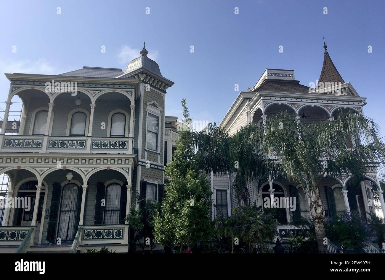 Many of the old oak trees that lined Galveston were destroyed in ...