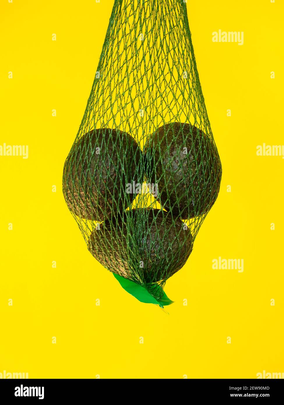 Avocados in a green net isolated and suspended on air with a yellow ...