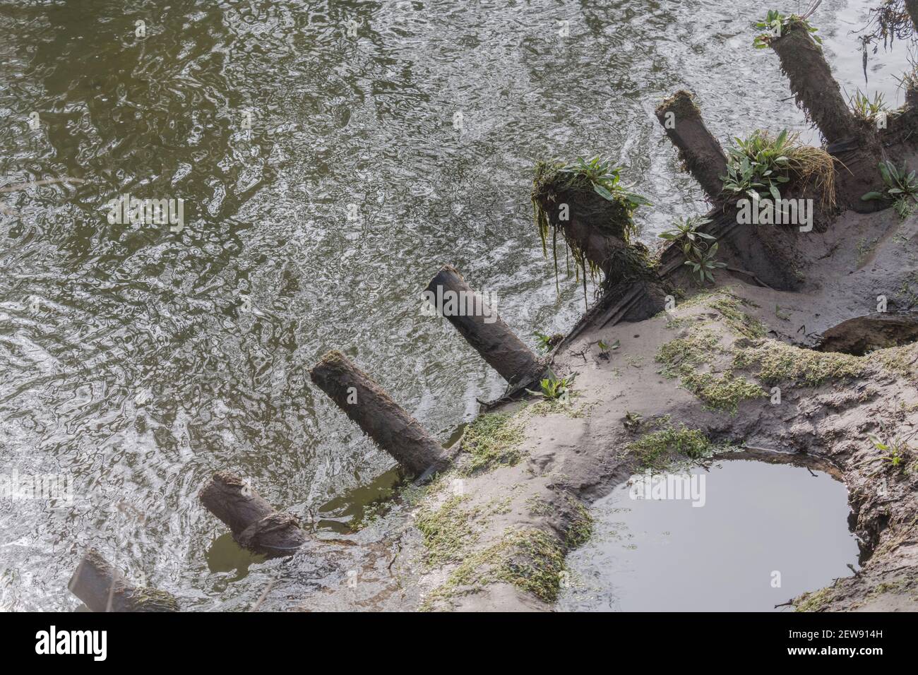 Collapsed wooden flood defences / erosion prevention barrier ...