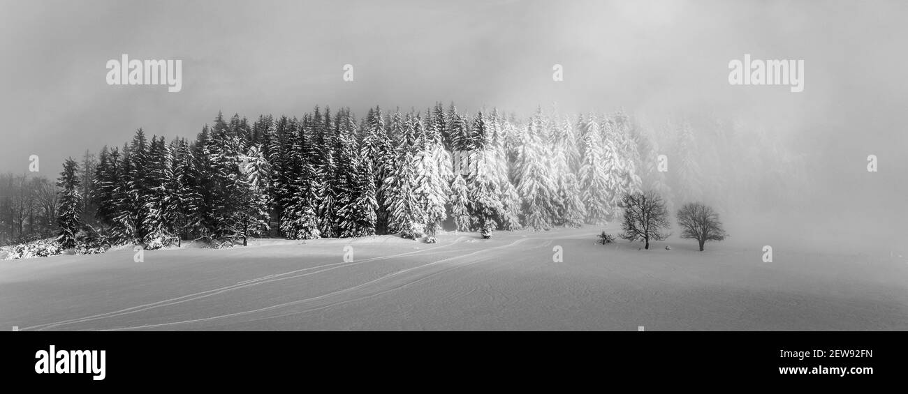 Early winter landscape snow Black and White Stock Photos & Images - Alamy