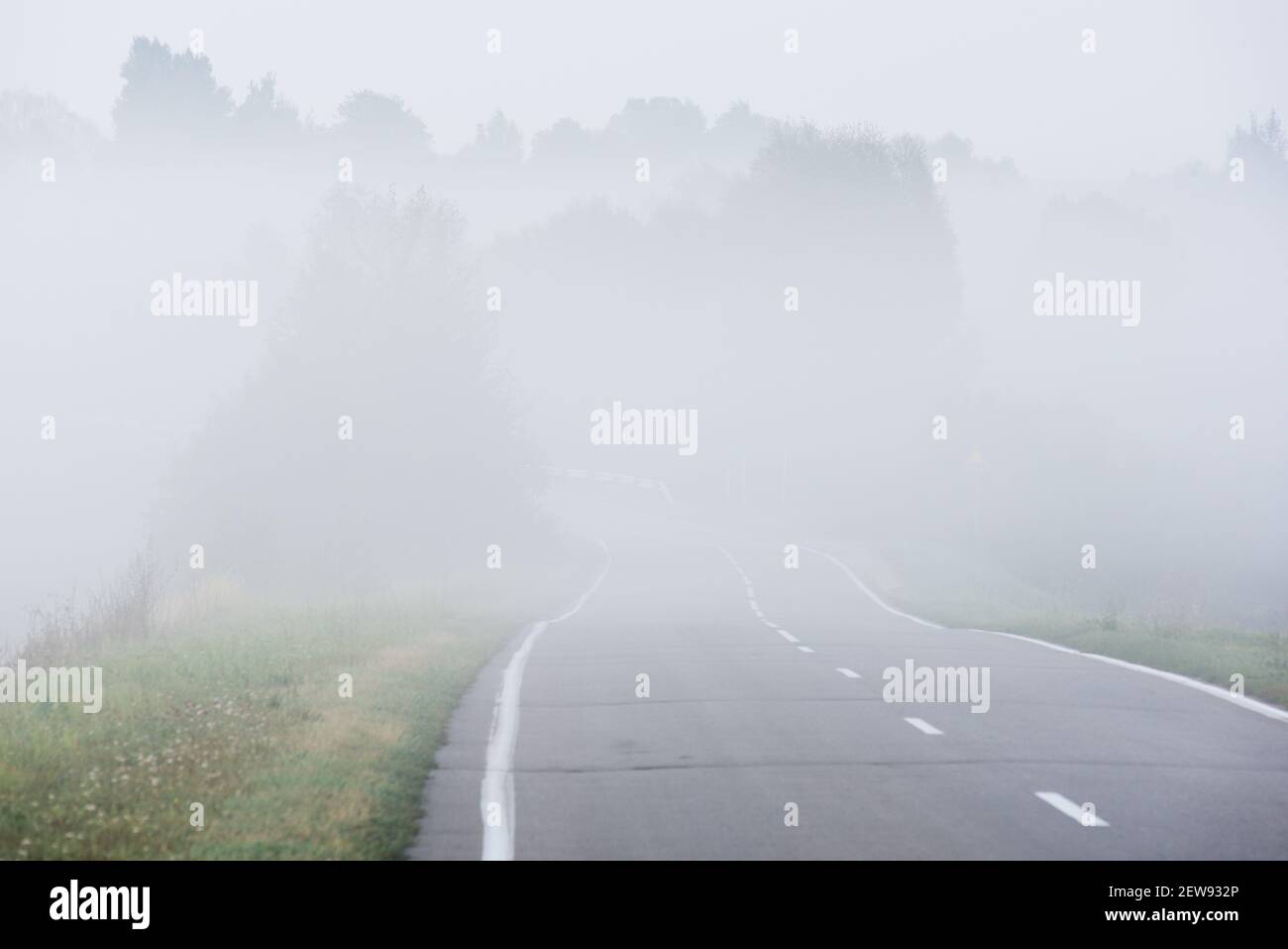 Summer foggy countryside landscape. Empty road and trees in dense ...