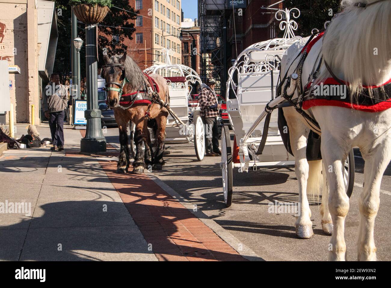 Atlanta, Ga USA - 03 07 20: Carriage horse close up downtown Atlanta ...