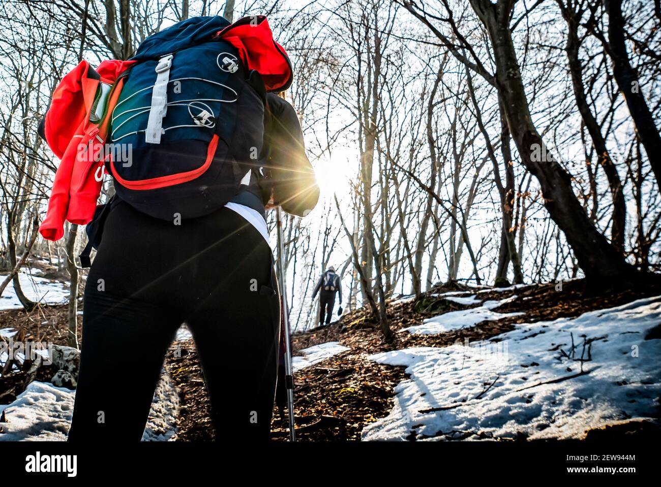Trekking scene in a woodland Stock Photo - Alamy