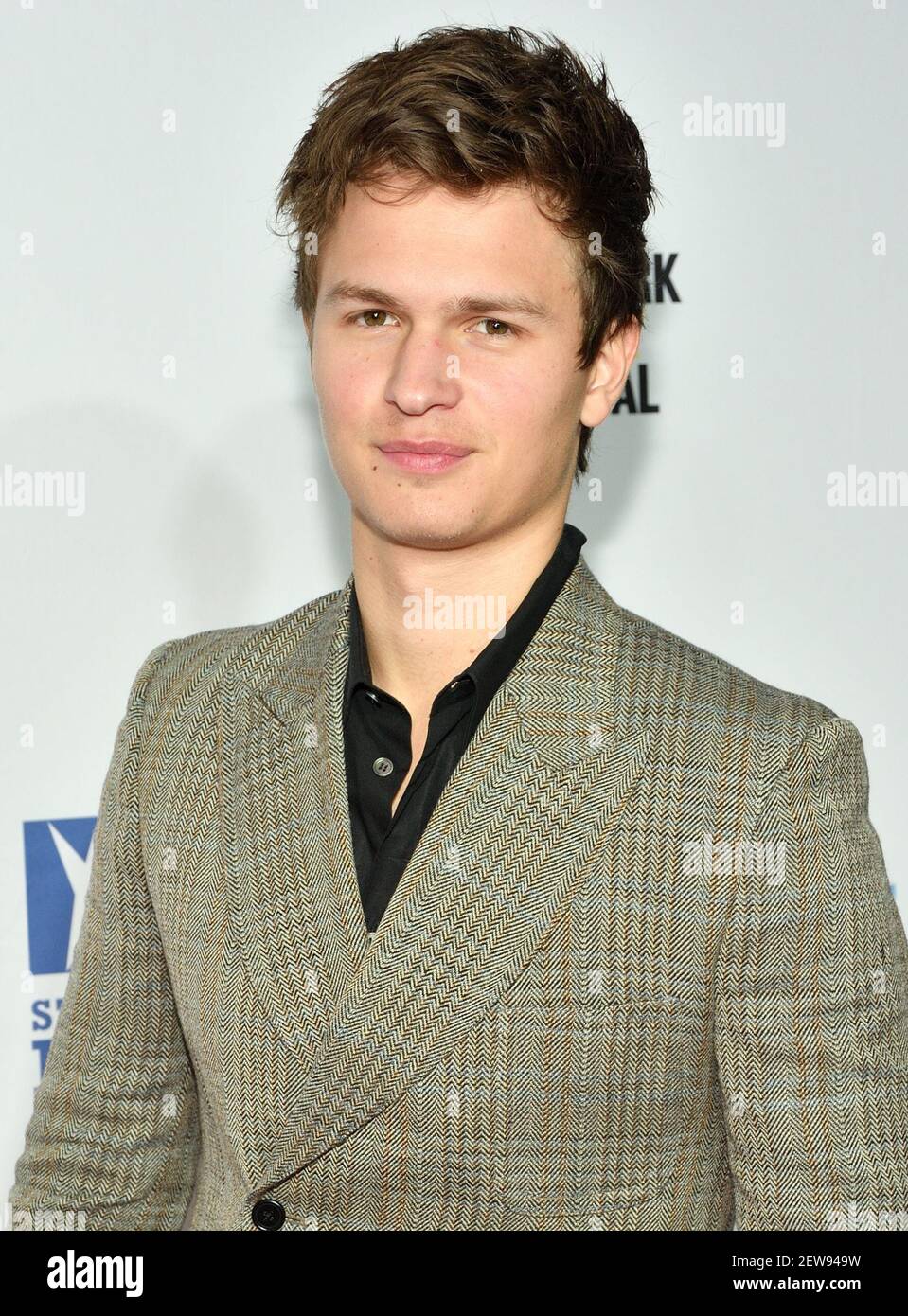 NEW YORK - NOVEMBER 7: Actor Ansel Elgort attends the Stand Up For ...