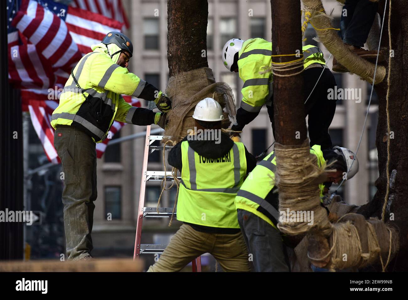 Workers place the the 75-foot Norway Spruce Rockefeller Center tree ...