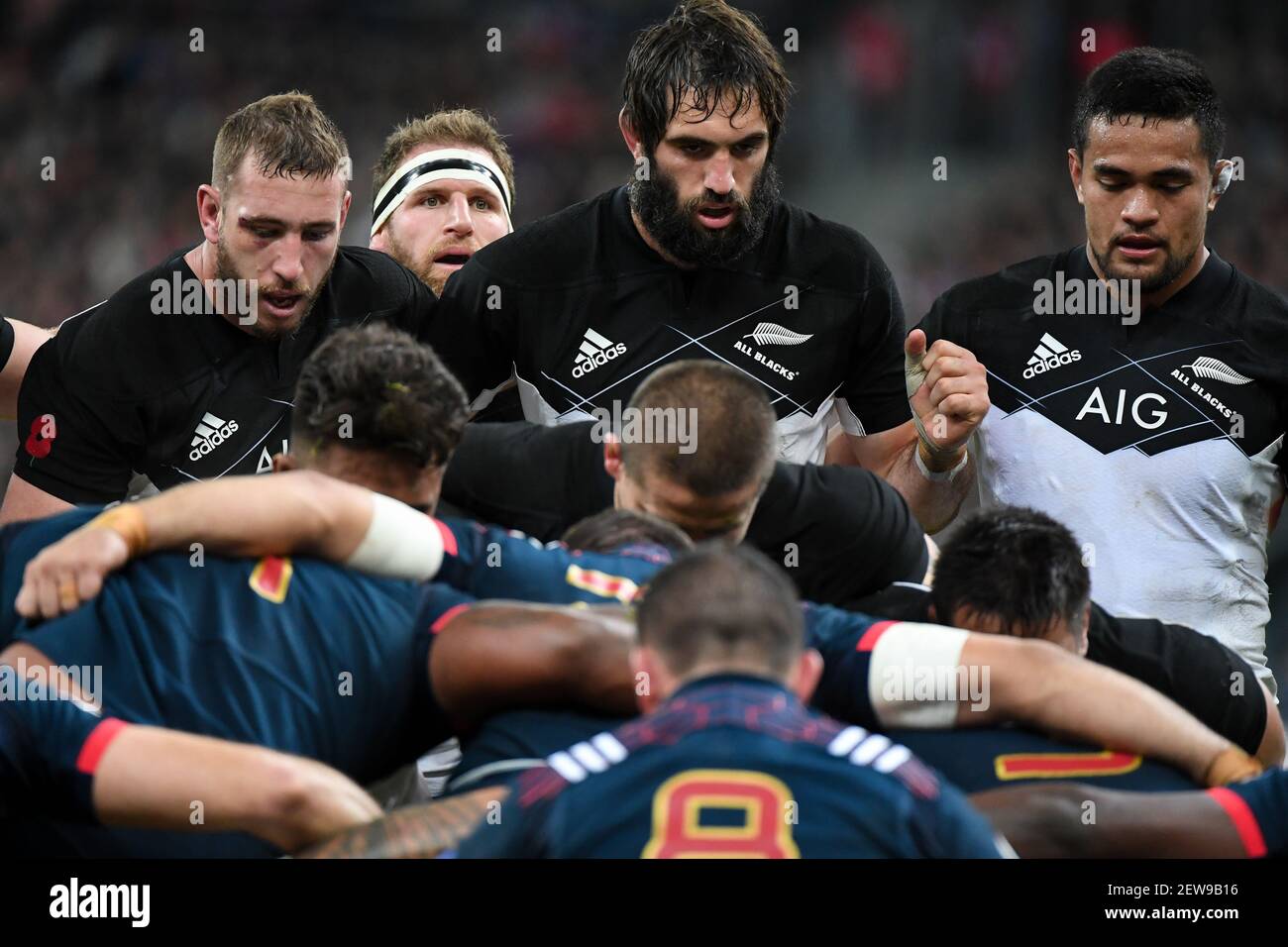 Players during the RUGBY: France vs New Zealand match at the Stade de ...