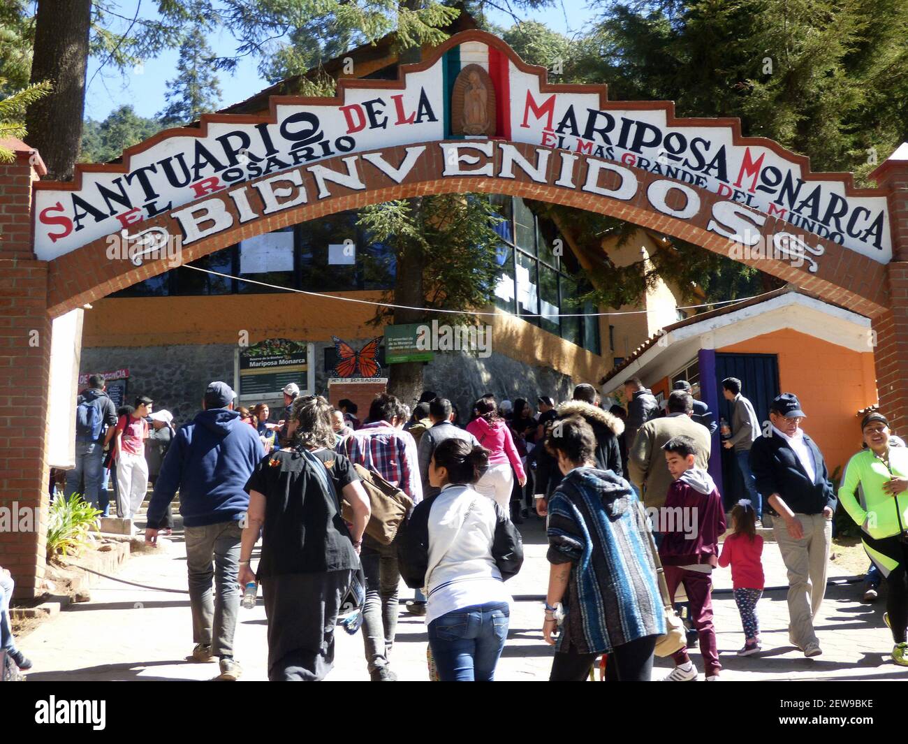 The El Rosario butterfly reserve, a bit more than 100 miles west of ...