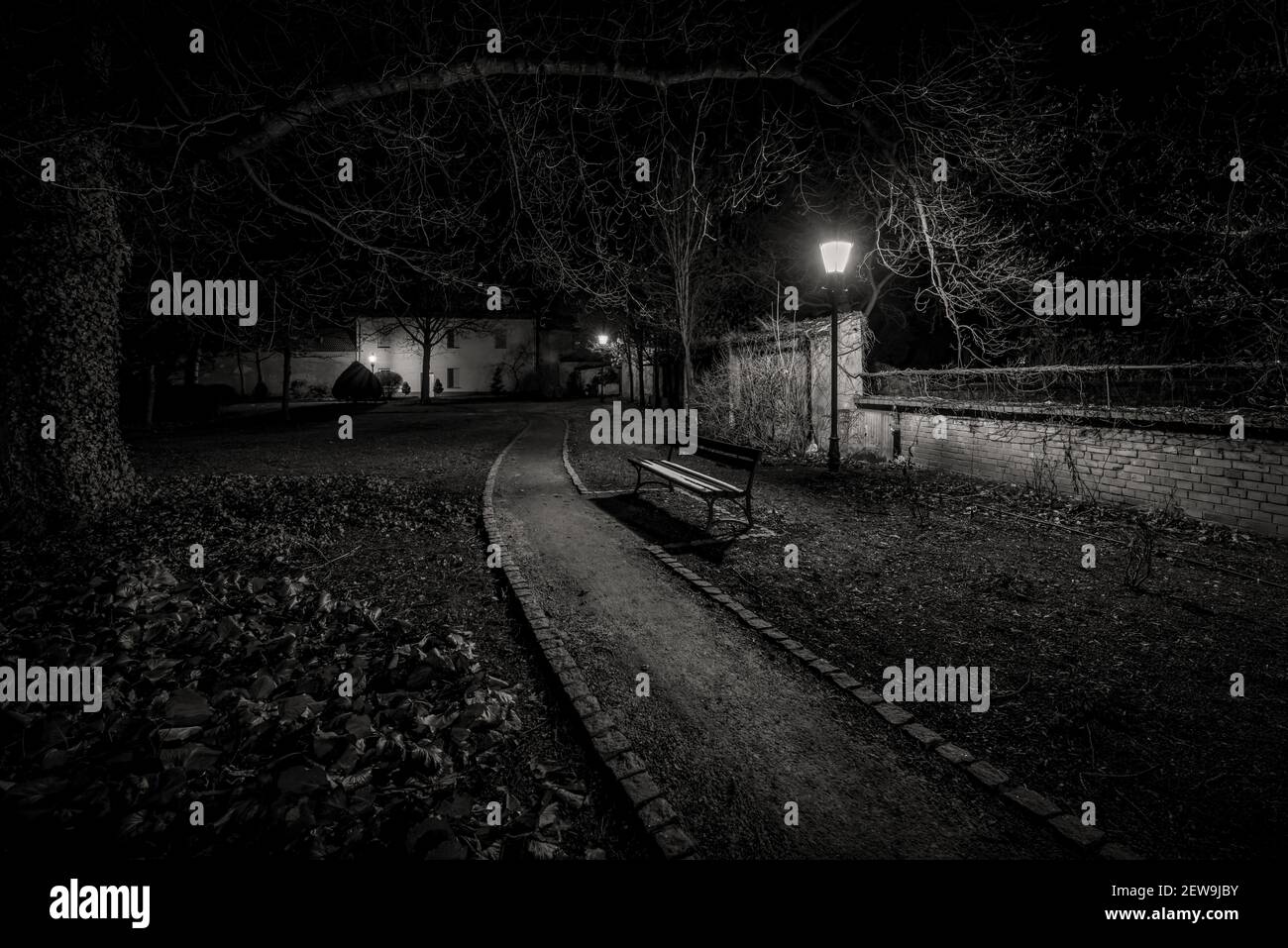 A grayscale shot of a narrow pathway in a park with a lamp on it at ...