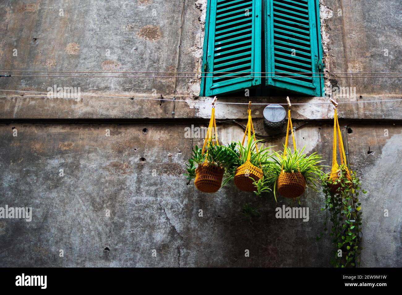 The small plant pots hanging from the green wooden window shutter Stock ...