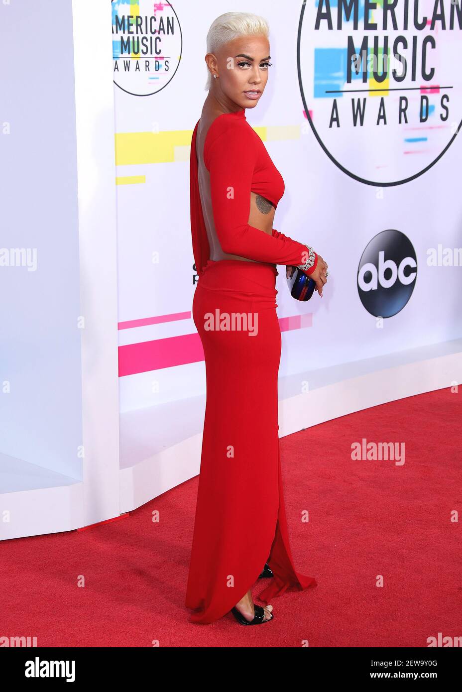 LOS ANGELES, CA - NOVEMBER 19: Sibley Scoles at the 2017 American Music ...