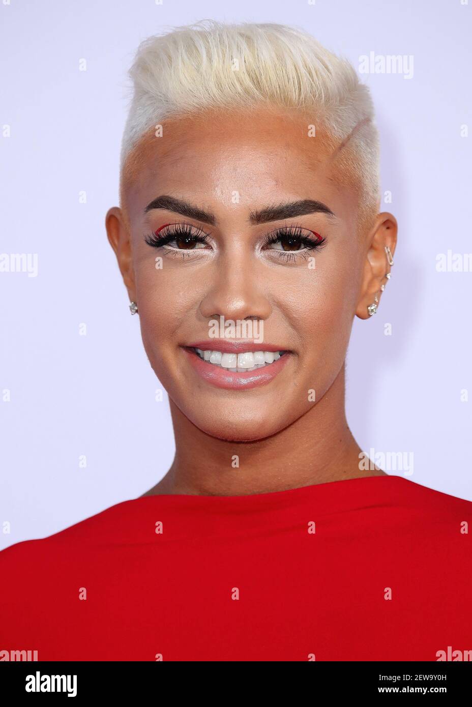 LOS ANGELES, CA - NOVEMBER 19: Sibley Scoles at the 2017 American Music ...