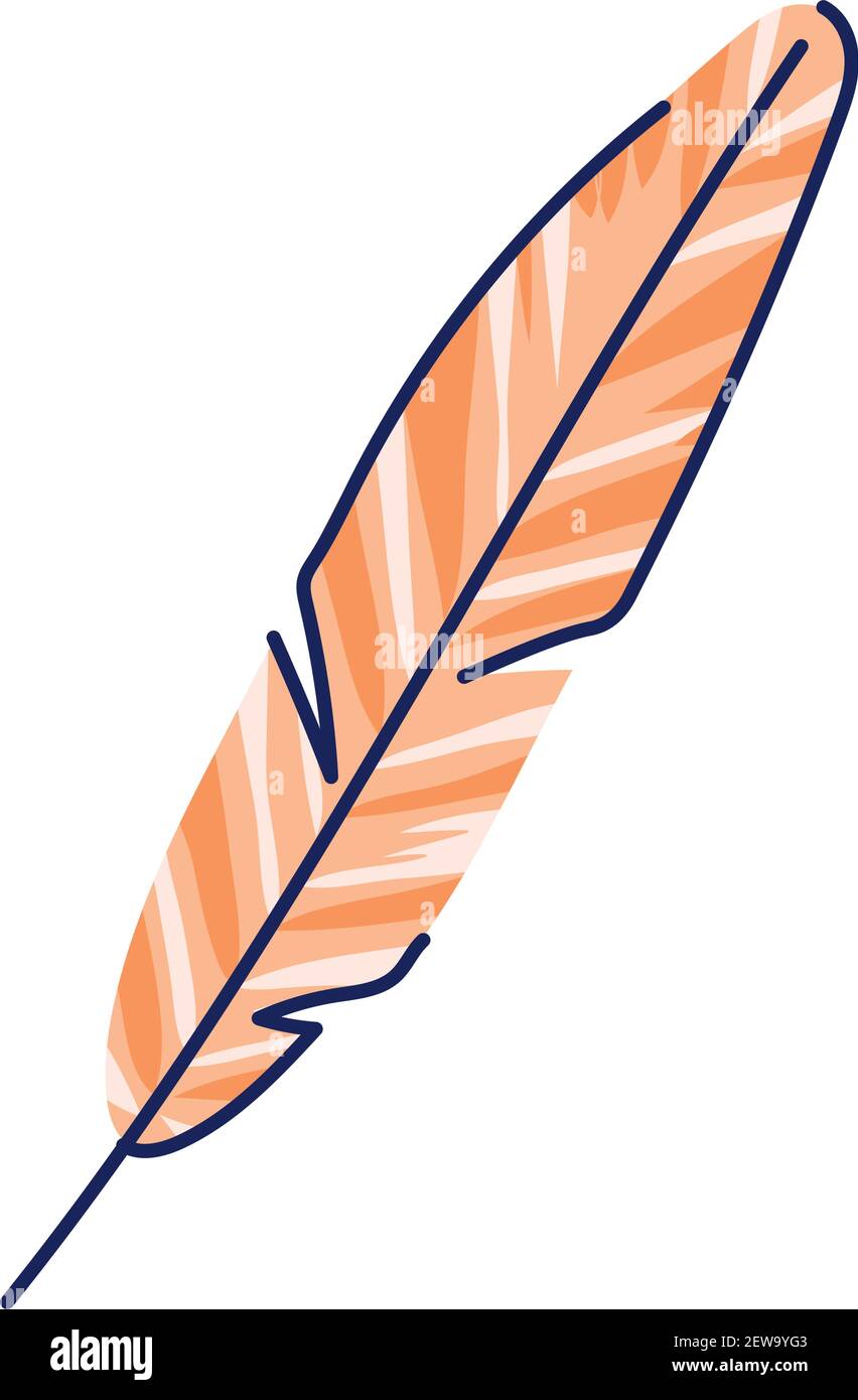 orange feather on a white background Stock Vector Image & Art - Alamy
