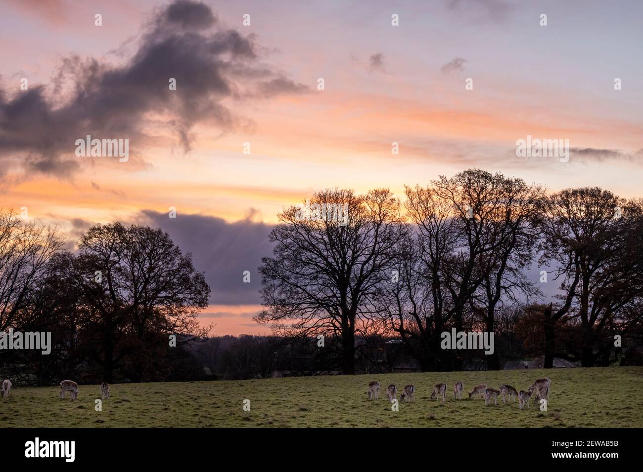 Swinton Park Hotel, Yorkshire. 17th century castle surrounded by ...