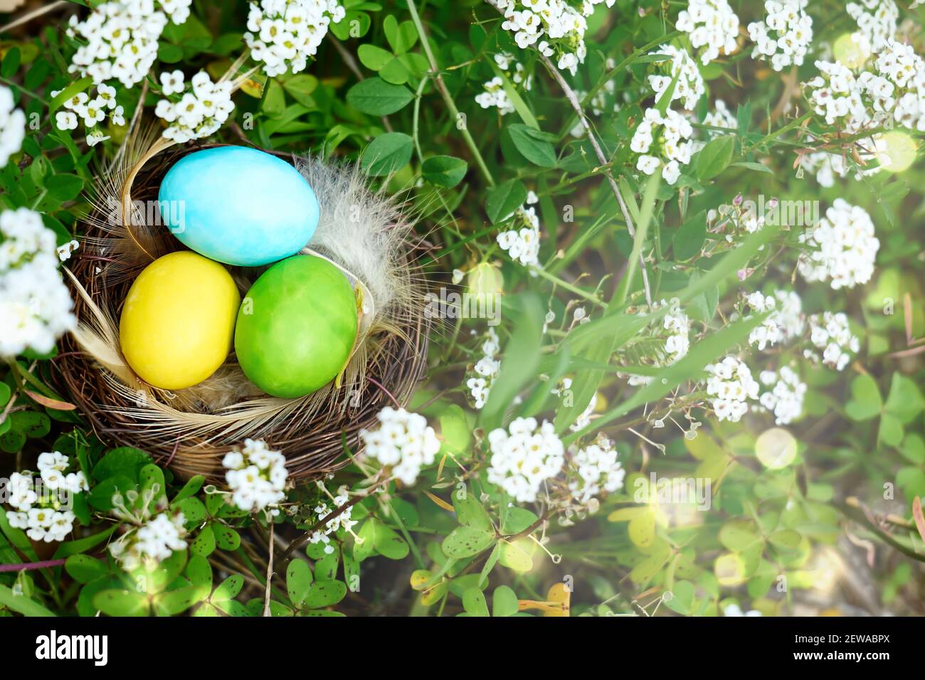 Stylish colorful easter eggs with feathers in the nest among the ...