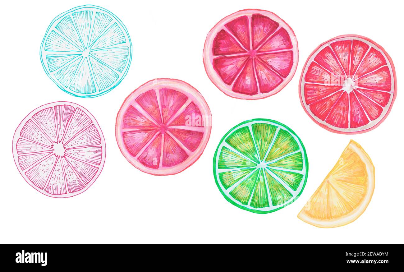 Set of hand-drawn fruit pieces. Clipart design stylized illustration ...