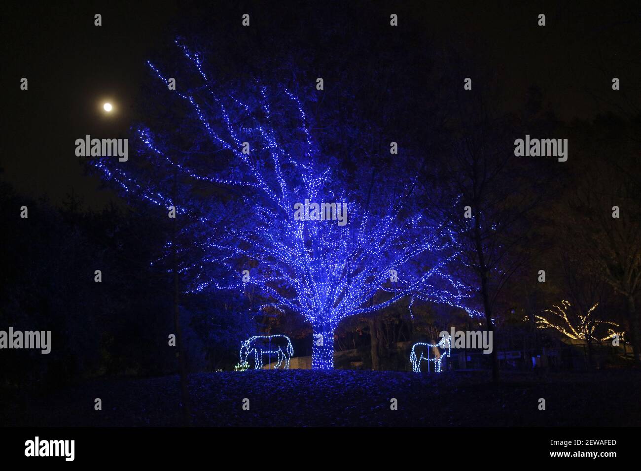 The Smithsonian's National Zoo is seen during the annual ZooLights ...