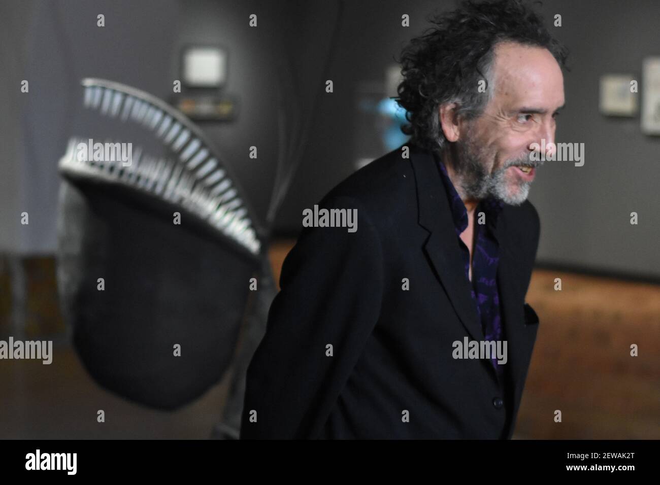 Director Tim Burton attends a photocall to promote 'The World of Tim ...