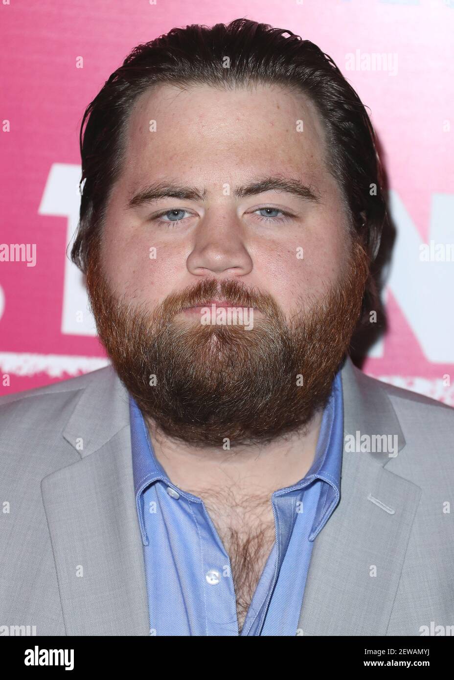 LOS ANGELES- DECEMBER 5: Paul Walter Hauser at the Los Angeles Premiere ...