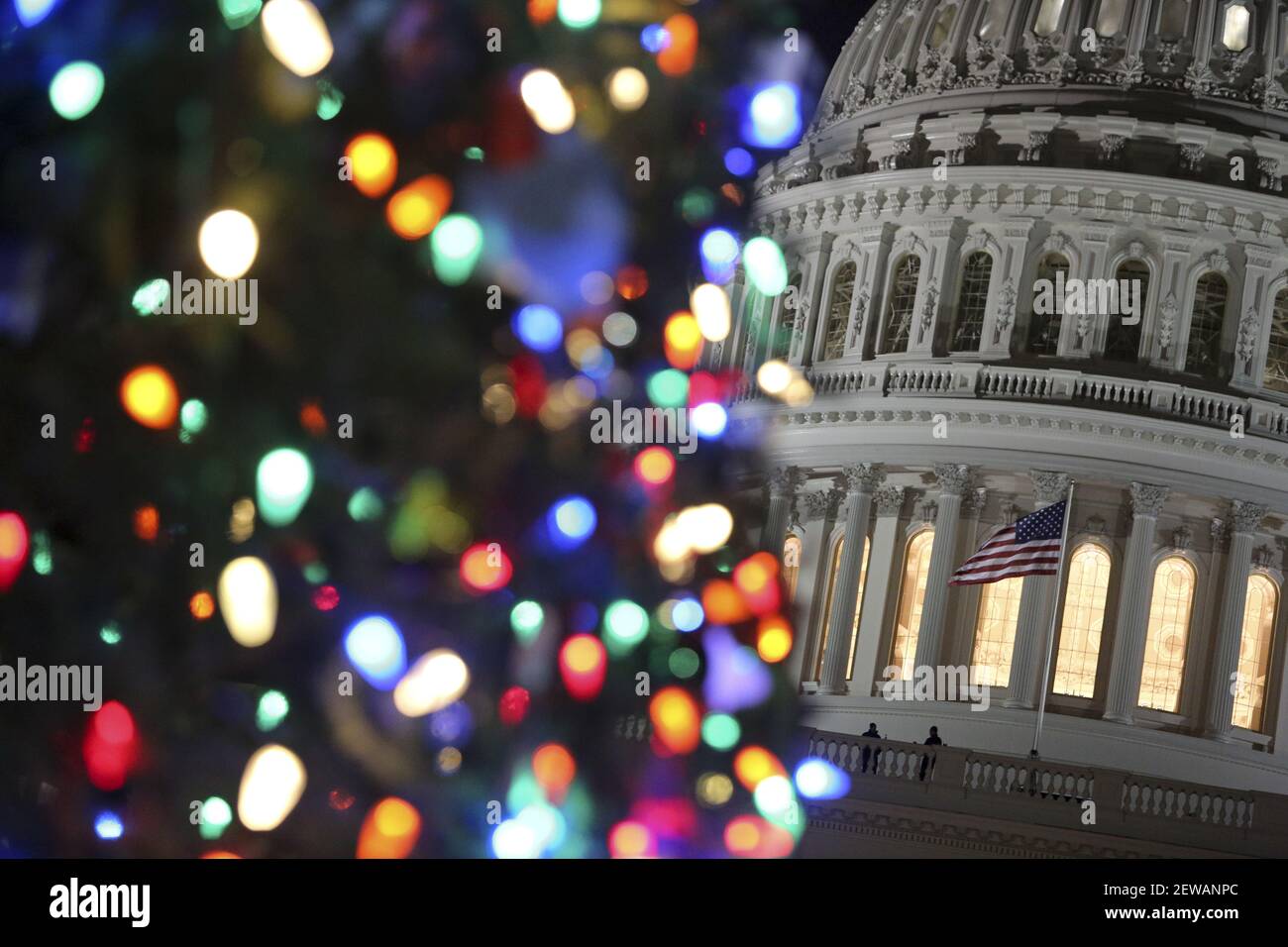 The Capitol Christmas Tree Lighting ceremony takes place on the west ...