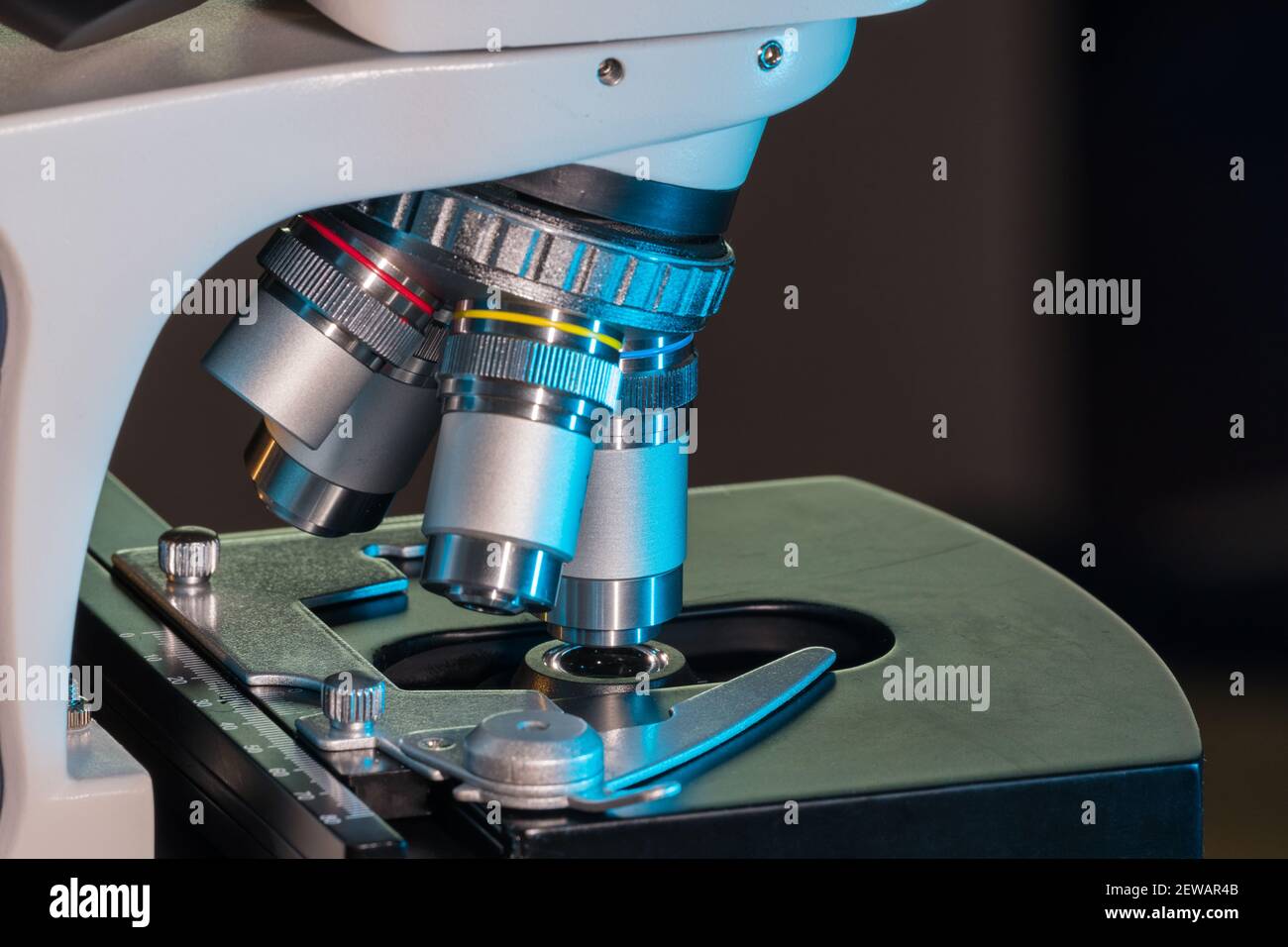 Laboratory microbiology hi-res stock photography and images - Alamy