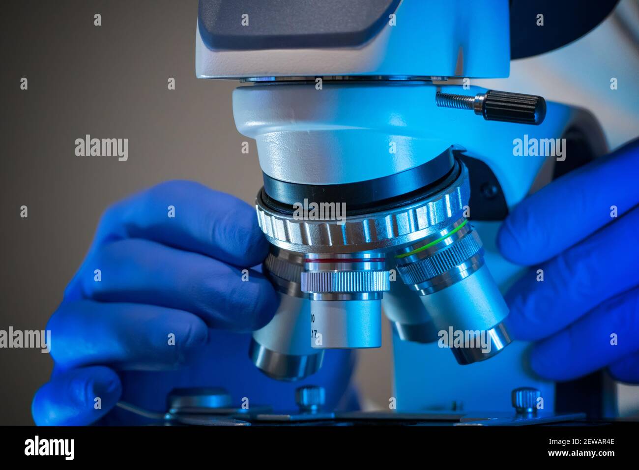 Scientist is adjusting microscope in laboratory Stock Photo - Alamy