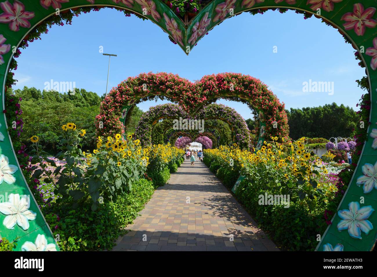 Miracle garden hi-res stock photography and images - Alamy