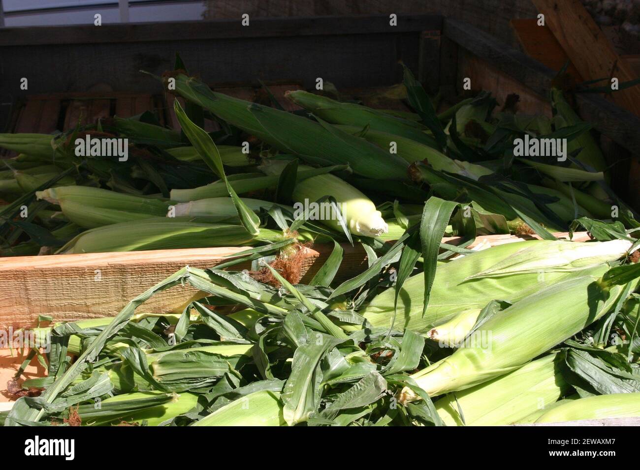 Farm market fall harvest hi-res stock photography and images - Alamy