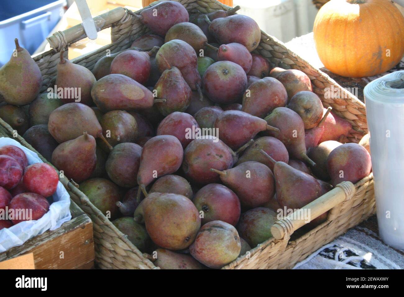 Fall harvest of pears hi-res stock photography and images - Alamy
