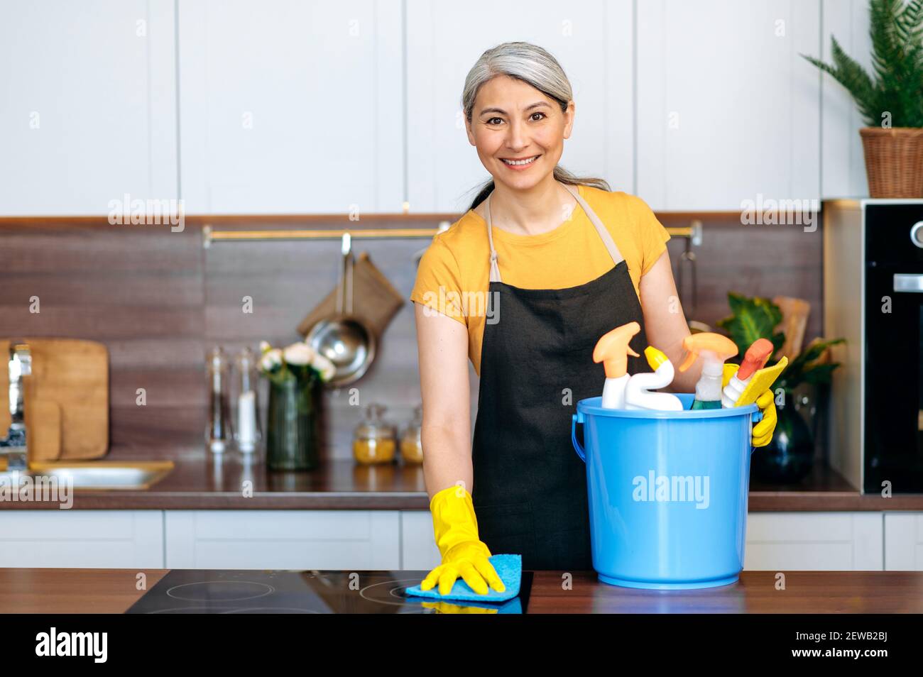 Cleaning service. Happy senior gray-haired woman cleaner in the apron ...
