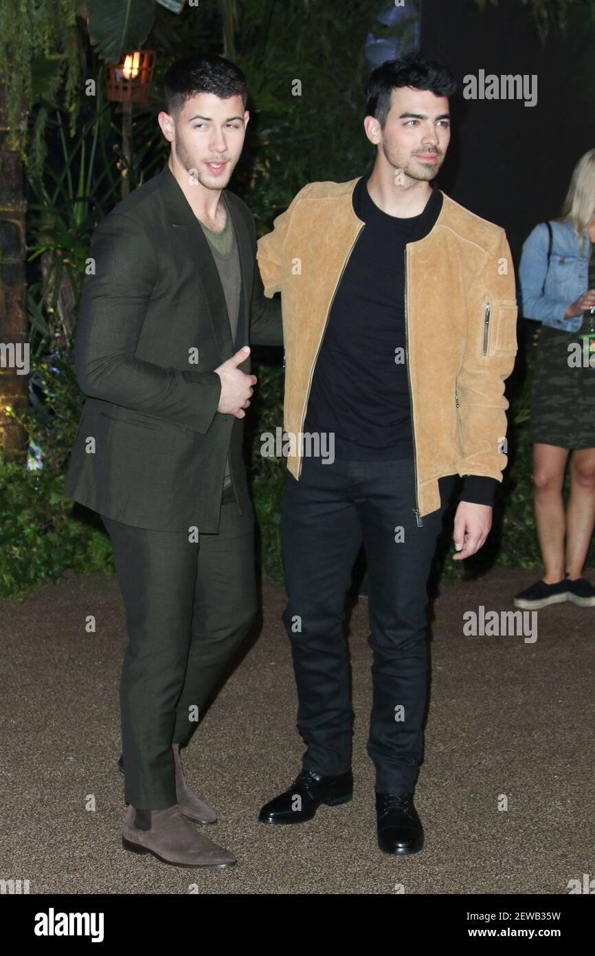 Nick Jonas and brother Joe Jonas at the Premiere Of Columbia Pictures ...