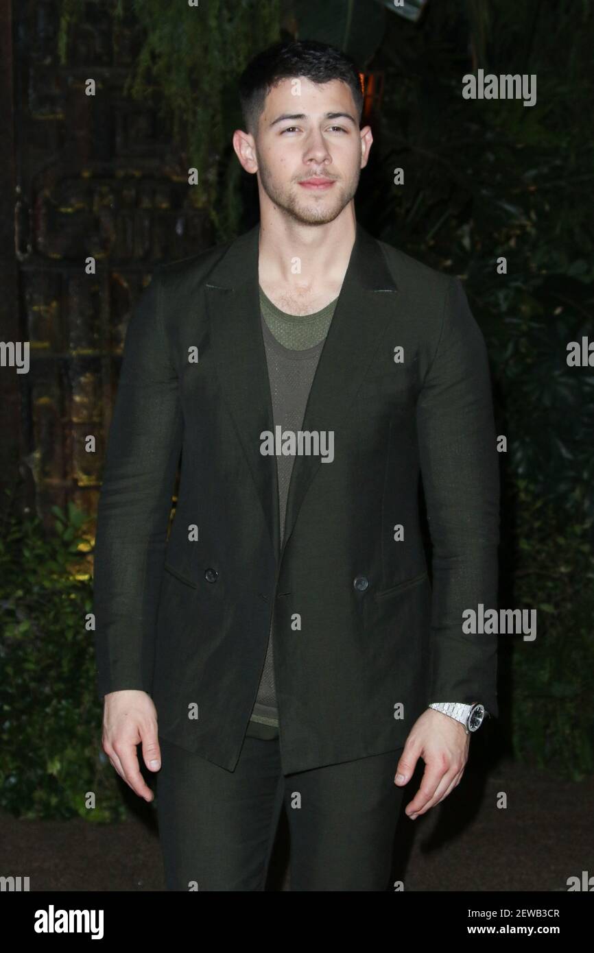 Nick Jonas at the Premiere Of Columbia Pictures' 'Jumanji: Welcome To ...