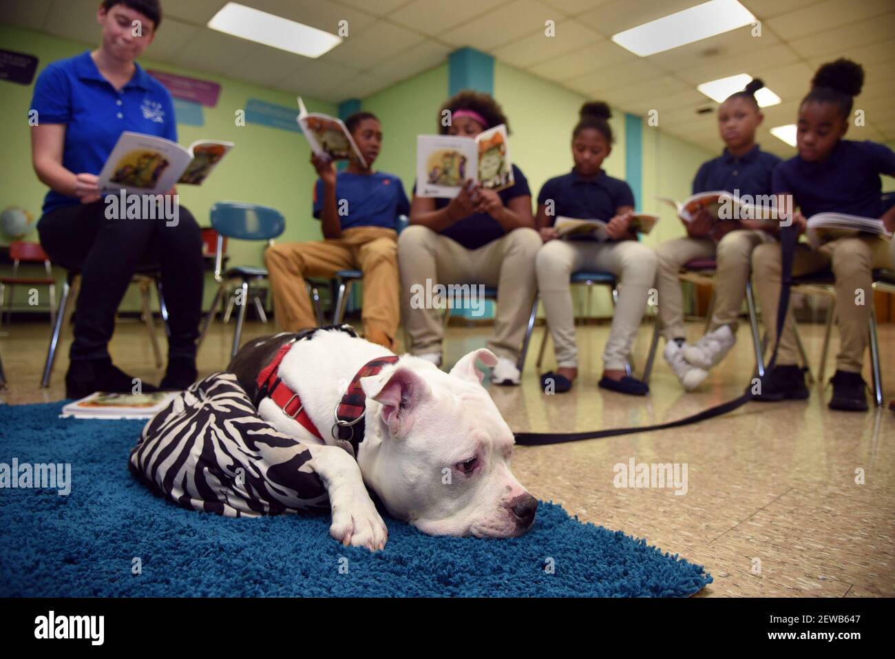 Knox, a pit bull from the SPCA, listens as fifth-graders at Westport ...