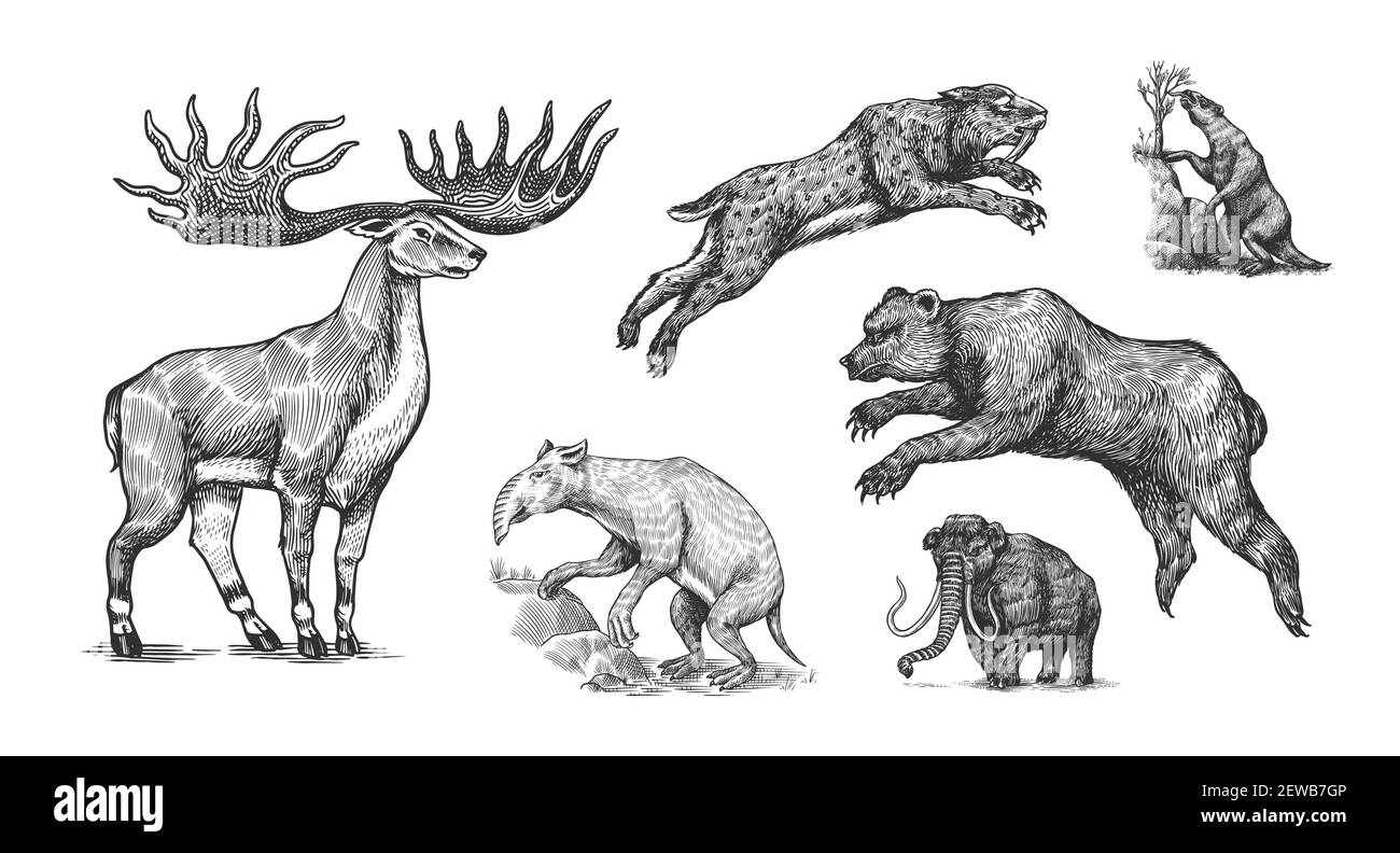 Ground sloth cave art Stock Vector Images - Alamy