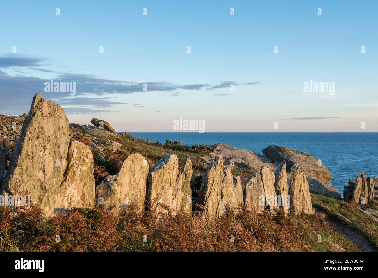 Iron age field dividers, East Prawle, Devon Stock Photo - Alamy