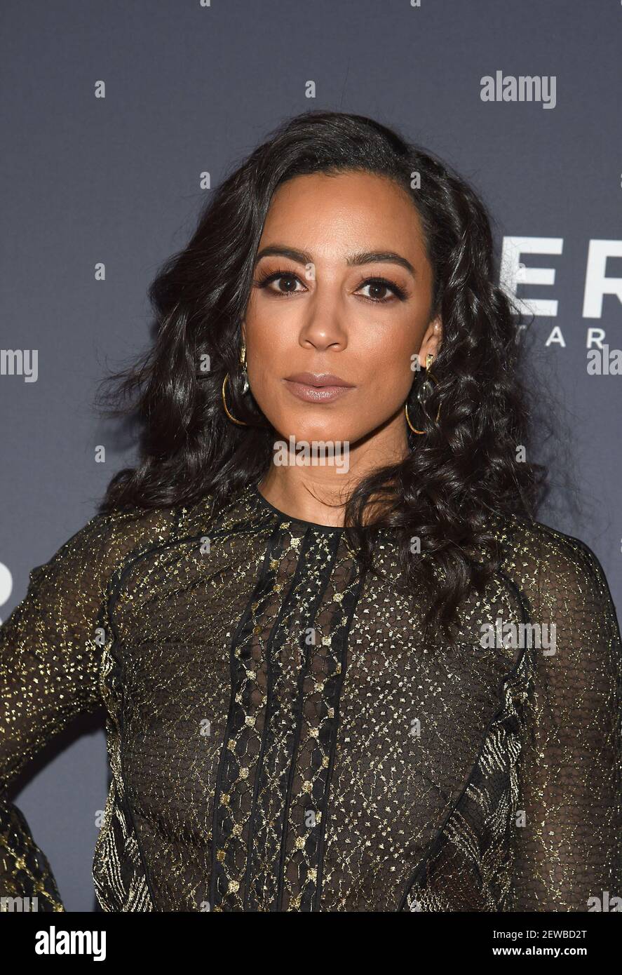 Angela Rye attends the CNN Heroes: An All-Star Tribute on December 17 ...