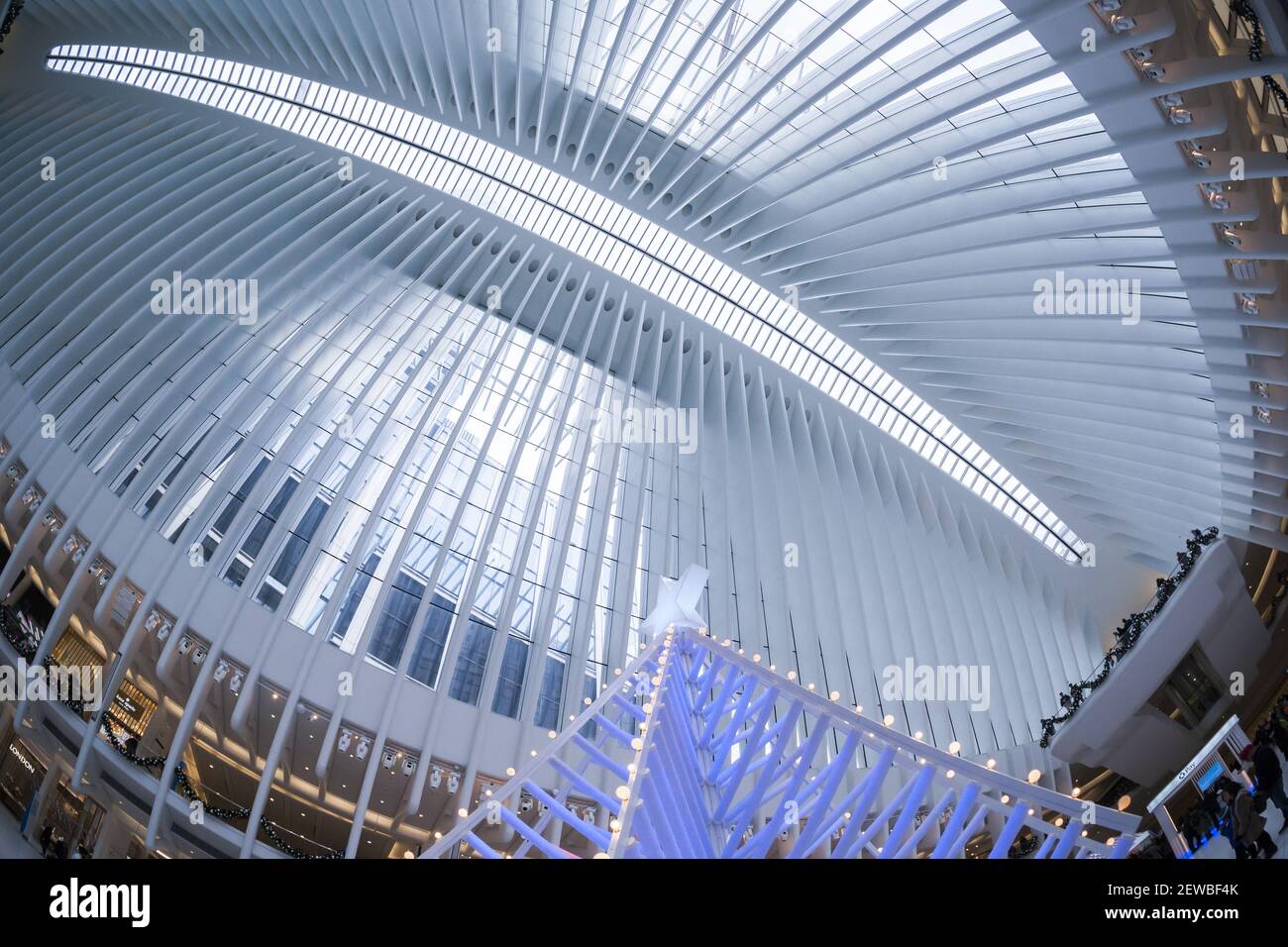 Christmas tree in the Holiday Market in the Westfield Mall in the ...