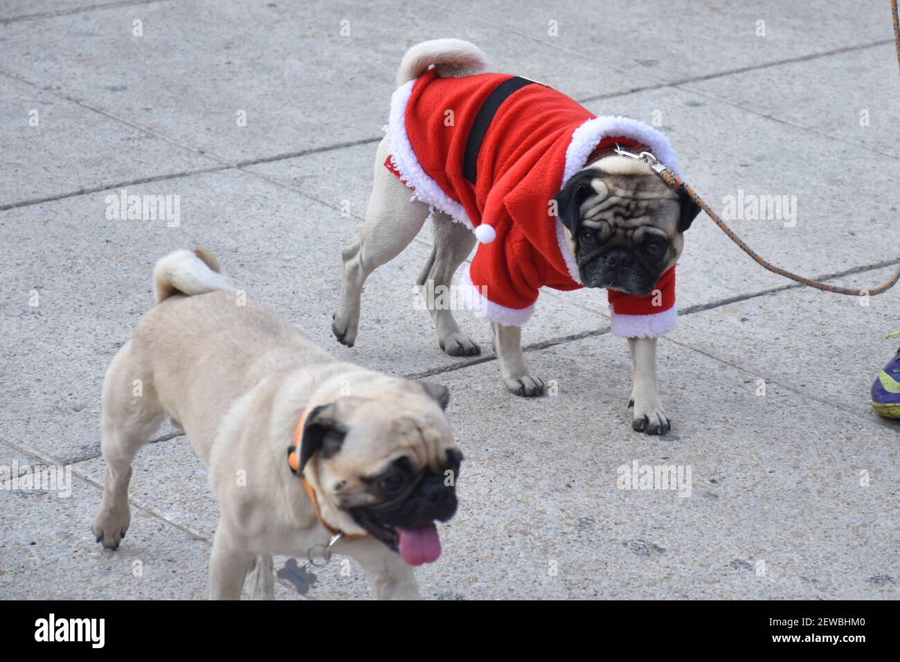 people met at the Revolucion Monument to begin the 3th annual mass walk ...