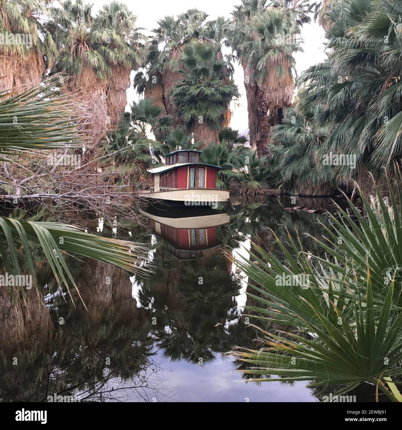 The 9,000-year-old Oasis of Mara and its palm-lined pond -- complete ...