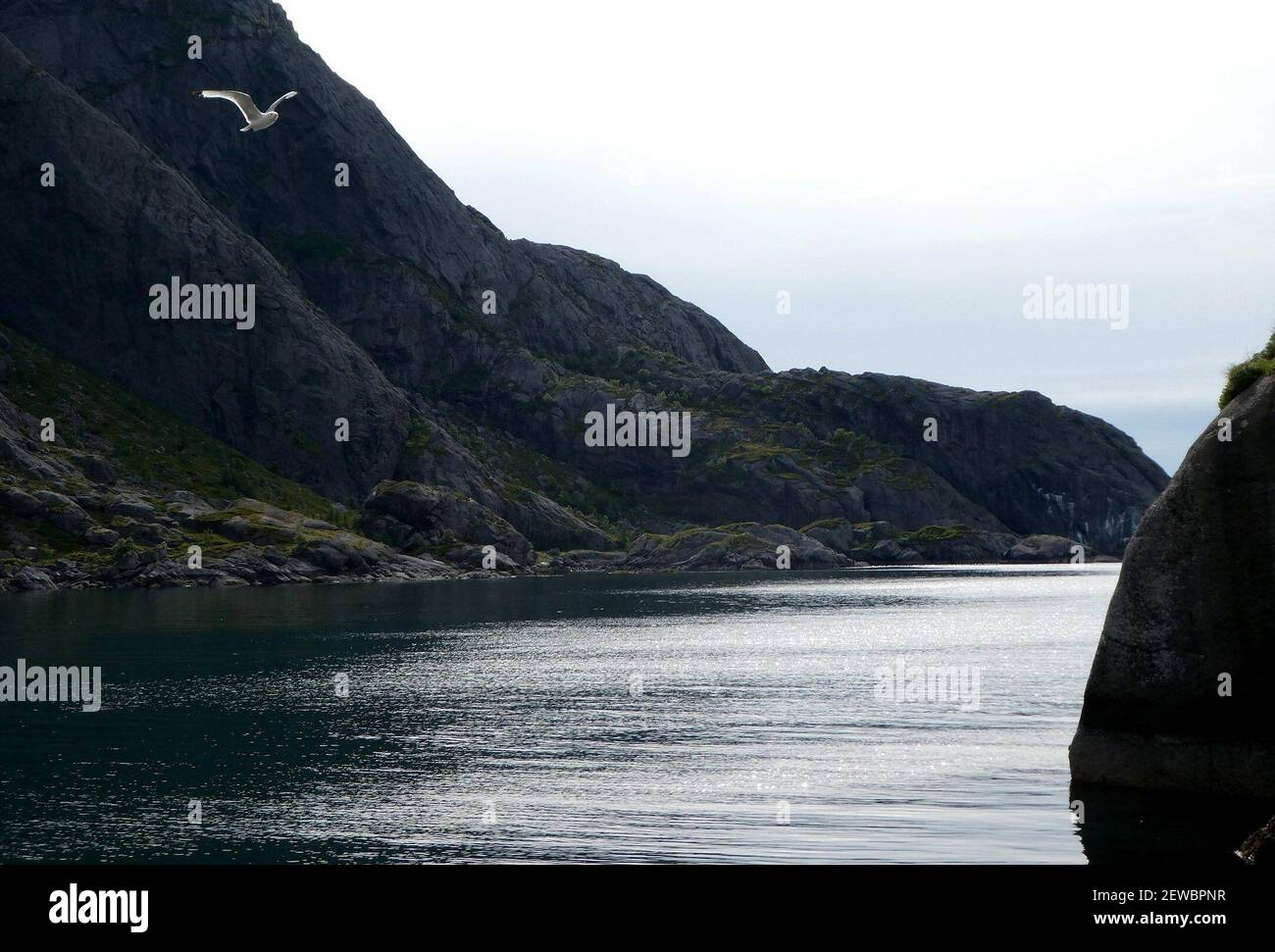 Our introduction to Scandinavia was sailing up the temperate waters of ...