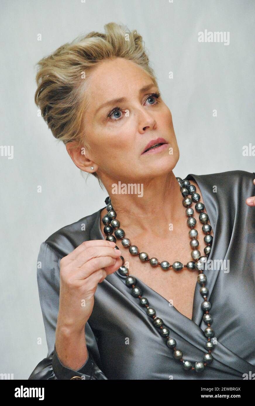 Sharon Stone at the Hollywood Foreign Press Association press ...