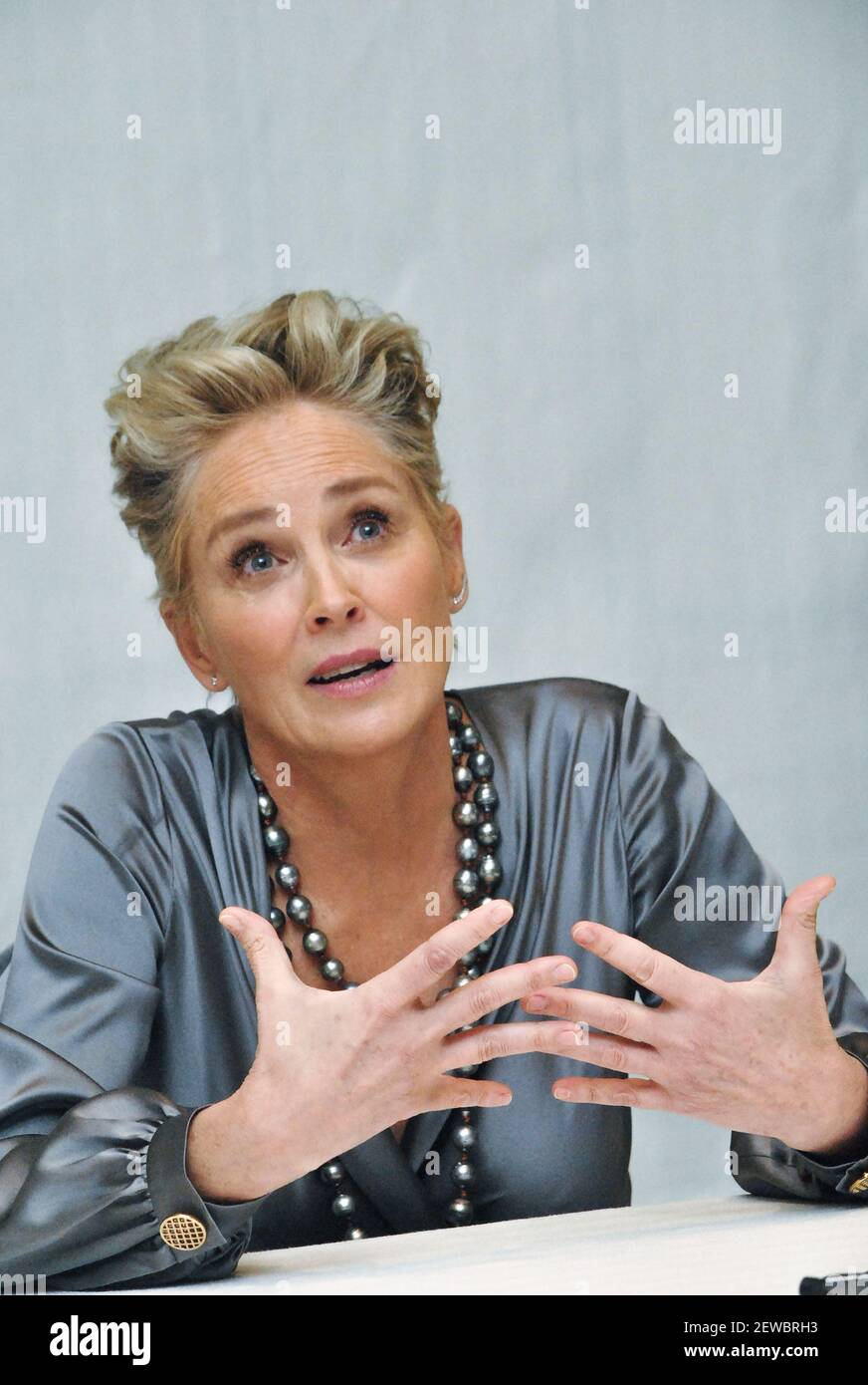 Sharon Stone at the Hollywood Foreign Press Association press ...