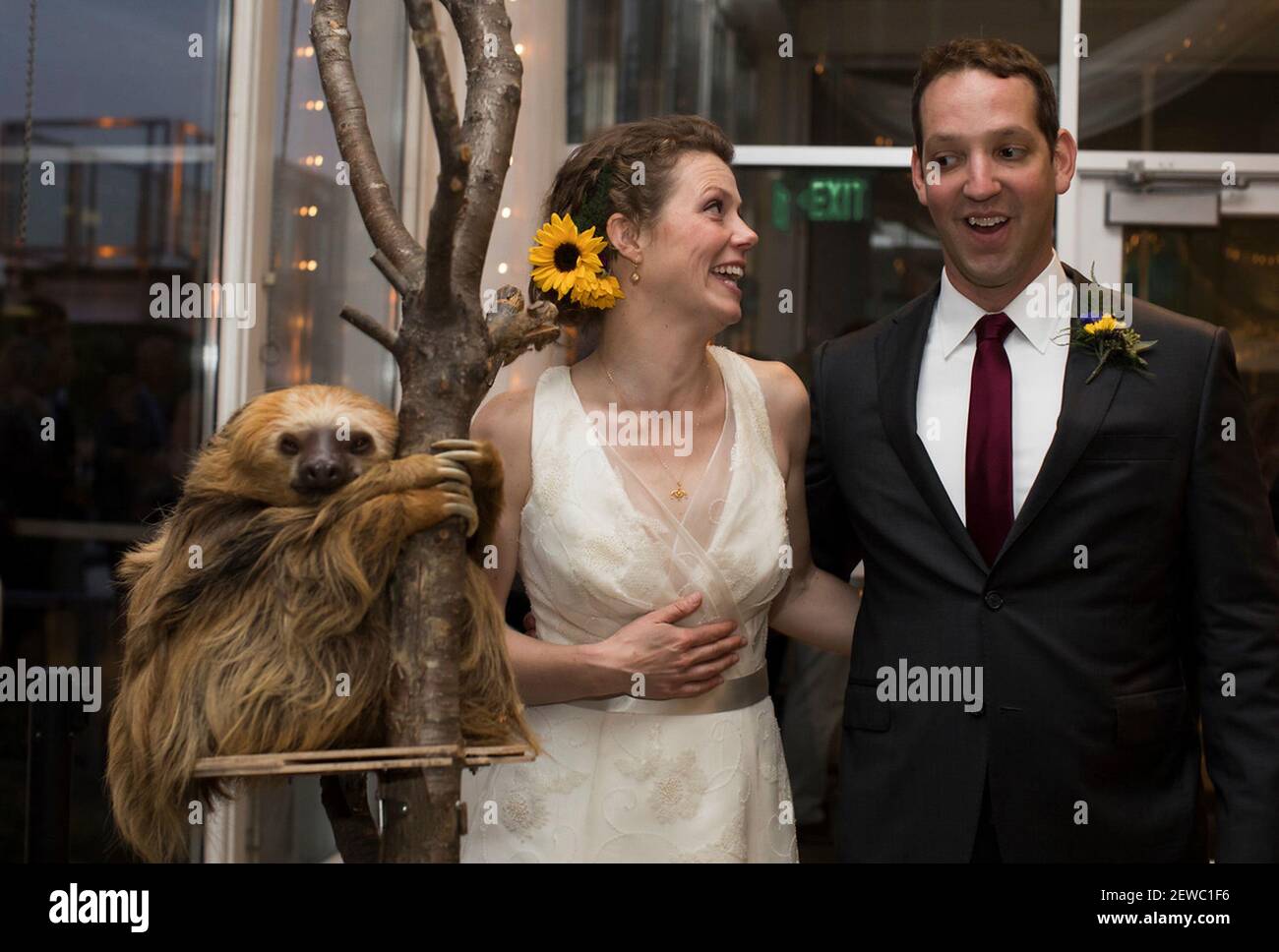 Kristina Geiger and Daniel Sperling at their wedding reception at Como ...