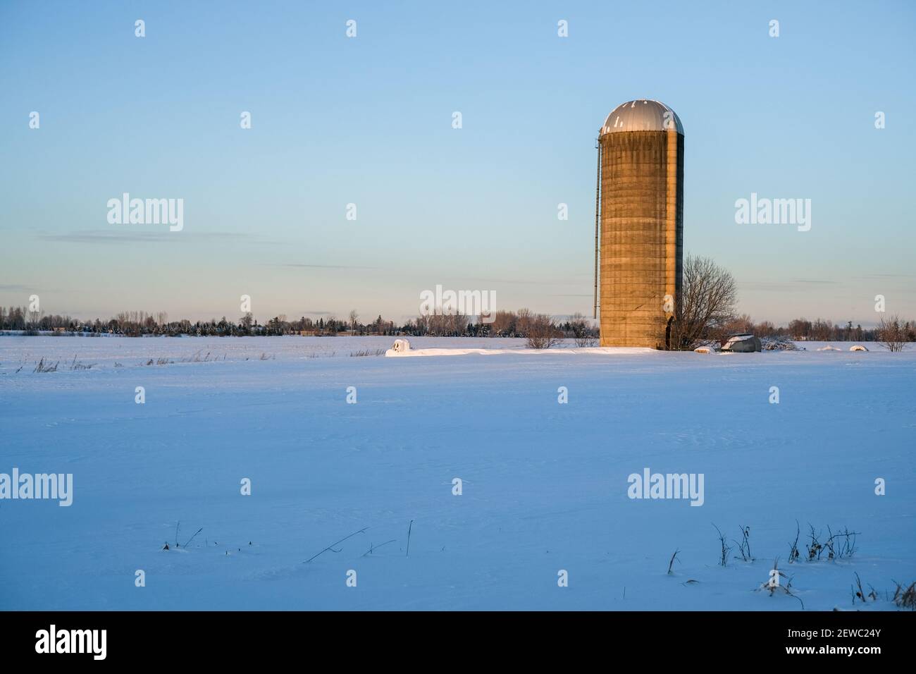 A concrete stave silo stands tall in a farmer's field in winter. The ...