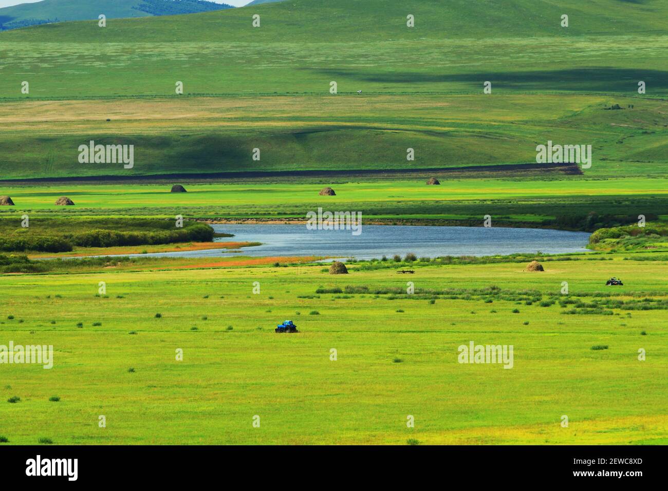 --File--View of the green grassland of Hulunbuir Prairie in Hulunbuir ...