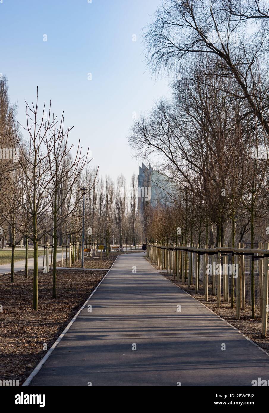 Footpath with row of planted trees at a park Stock Photo - Alamy